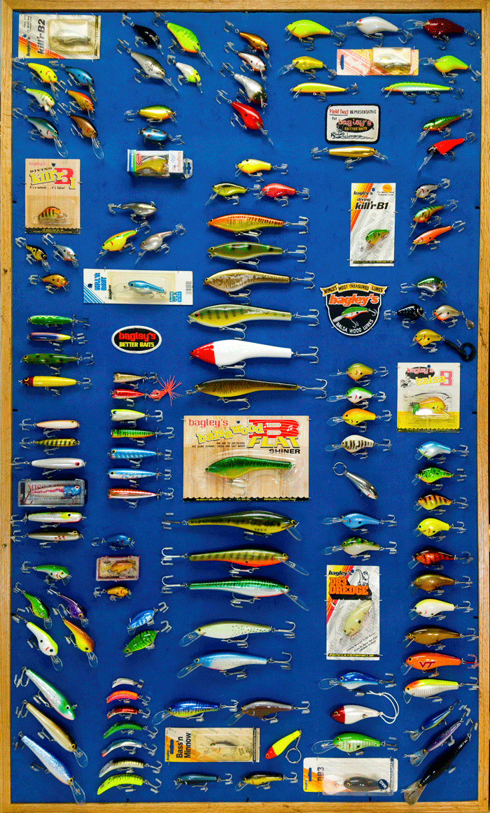 Bagley Lure Collections & Descriptions | The Colors of Bagley's